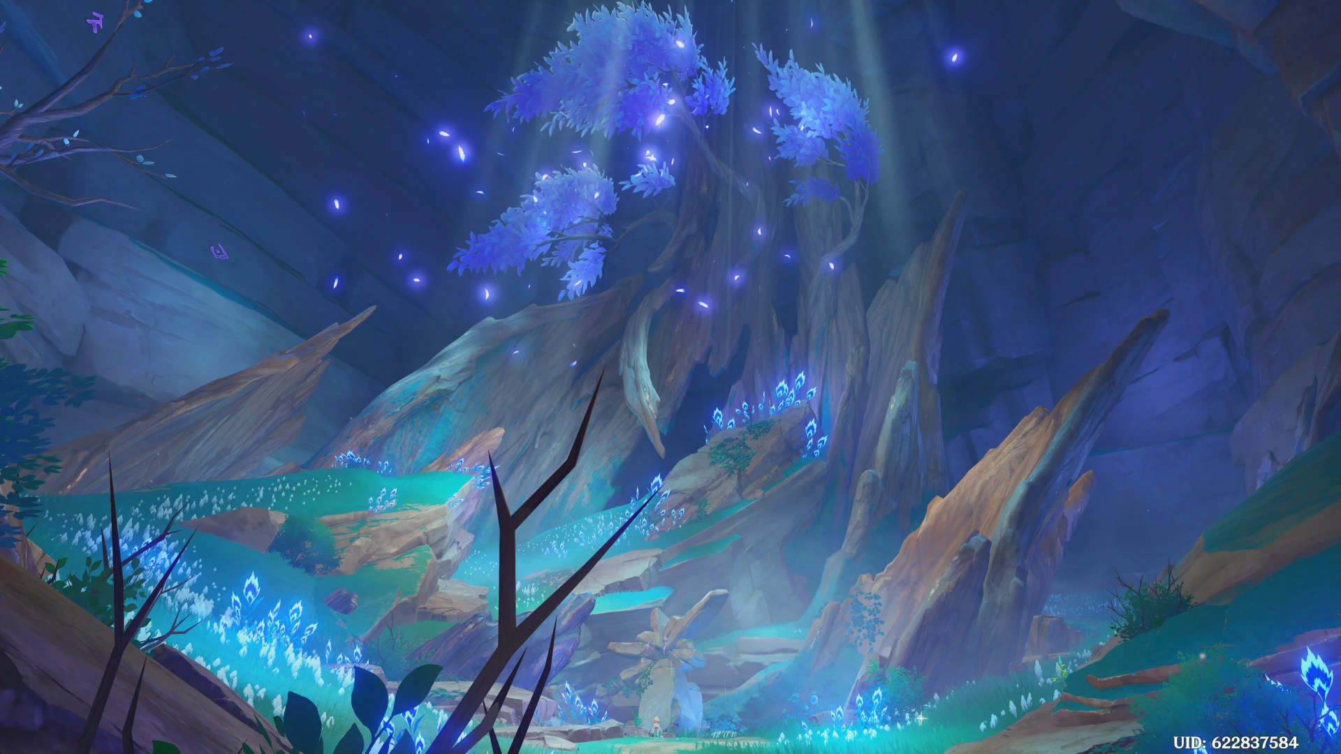 Can you be-leaf how pretty Genshin trees are? 🌳 Genshin Impact | HoYoLAB