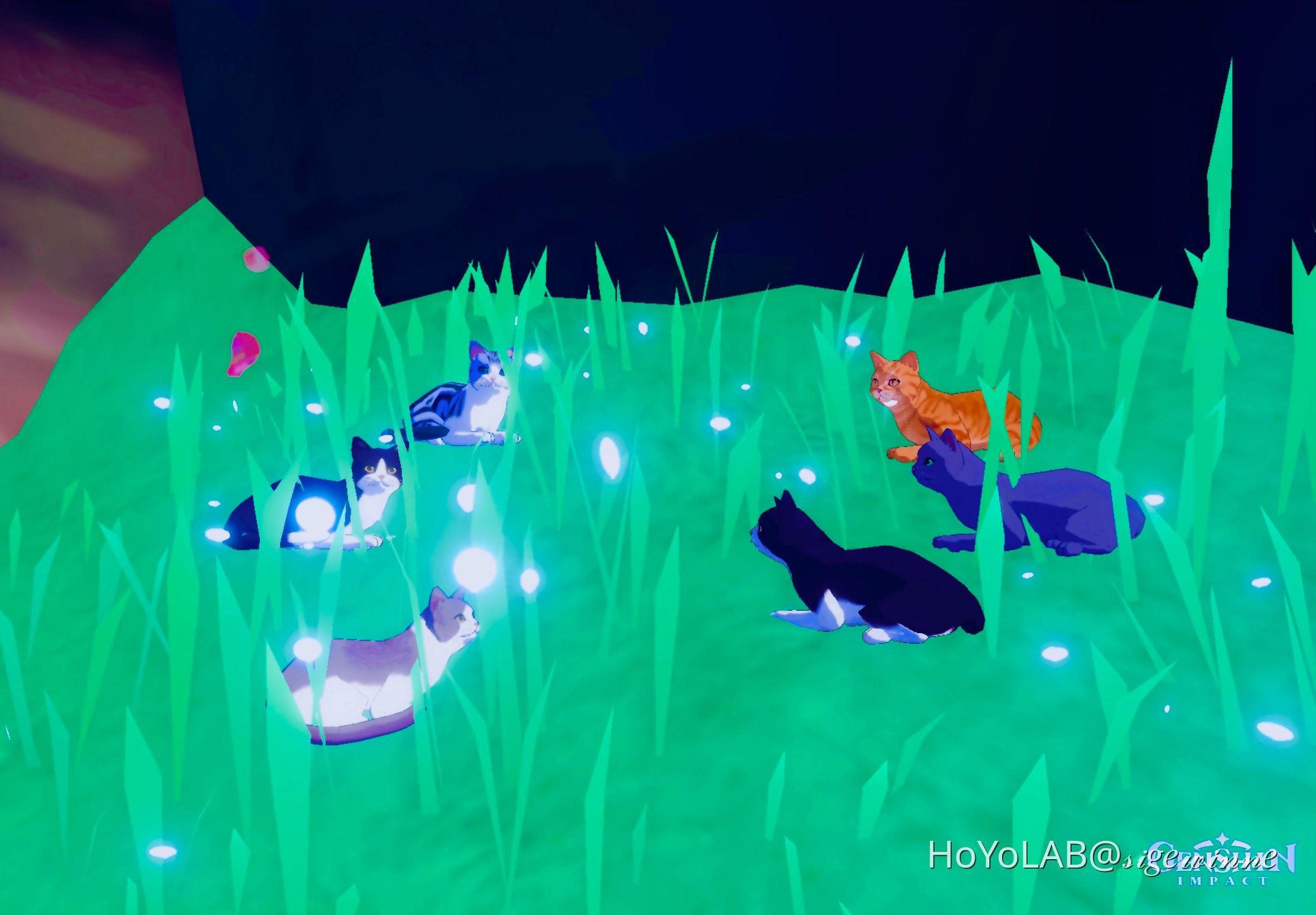 cute inazuman cats + my artworks of guuji and ai Genshin Impact | HoYoLAB