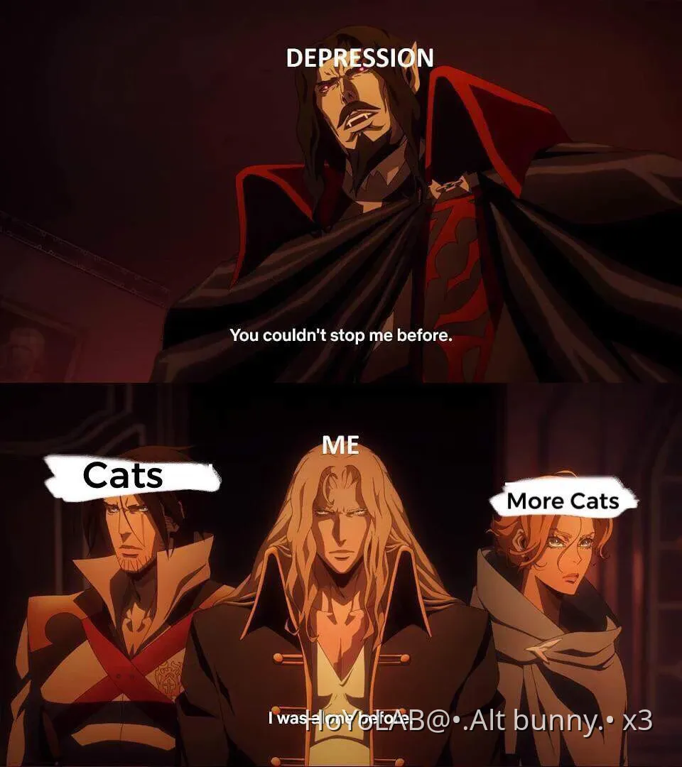 Castlevania memes :3 | HoYoLAB