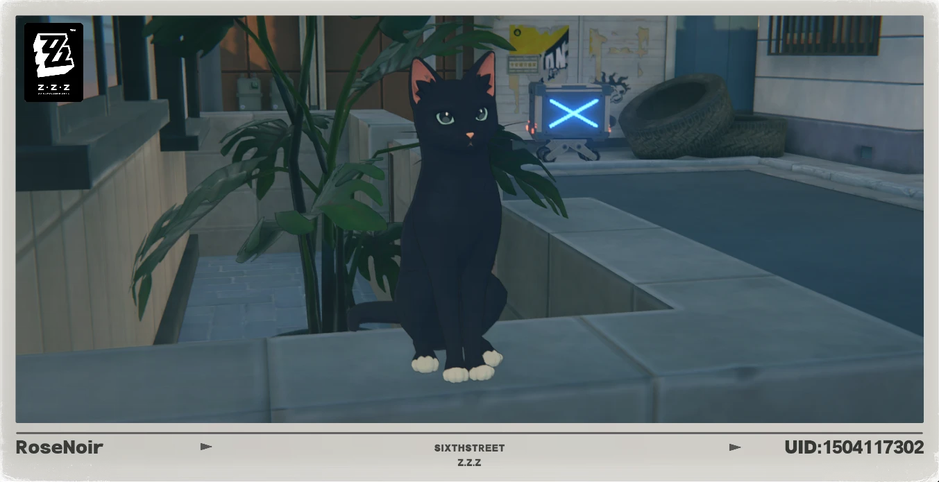 Poti Chat 🐈‍⬛ Zenless Zone Zero | HoYoLAB