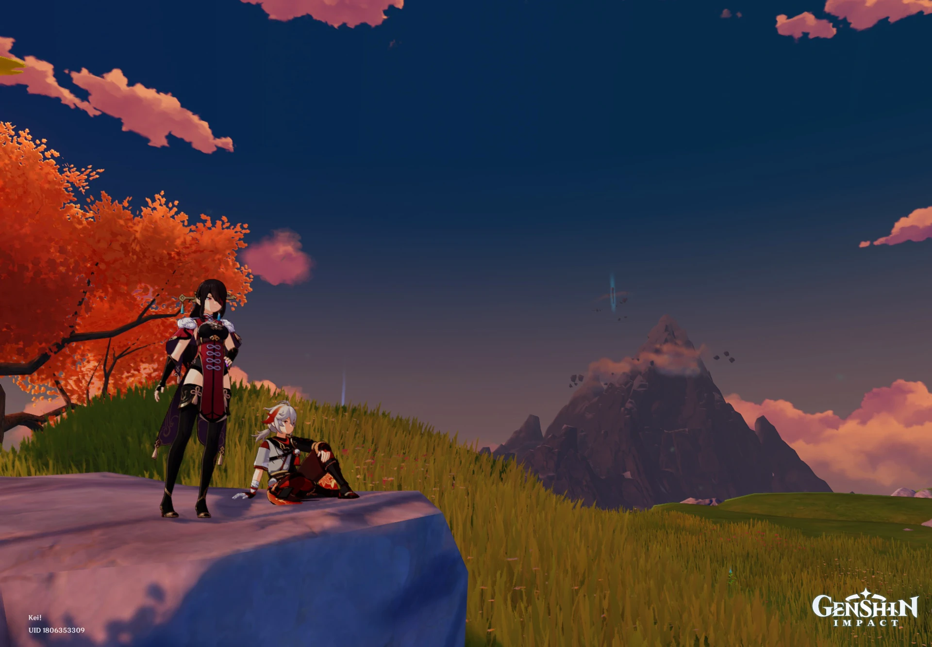 Please comment, I want a custom pfp | HoYoLAB