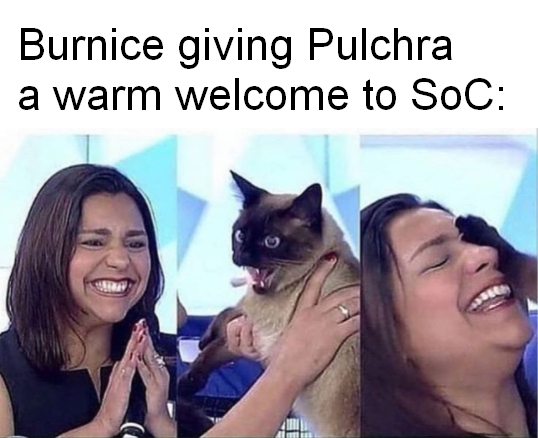 they adopted a kitty! Zenless Zone Zero | HoYoLAB