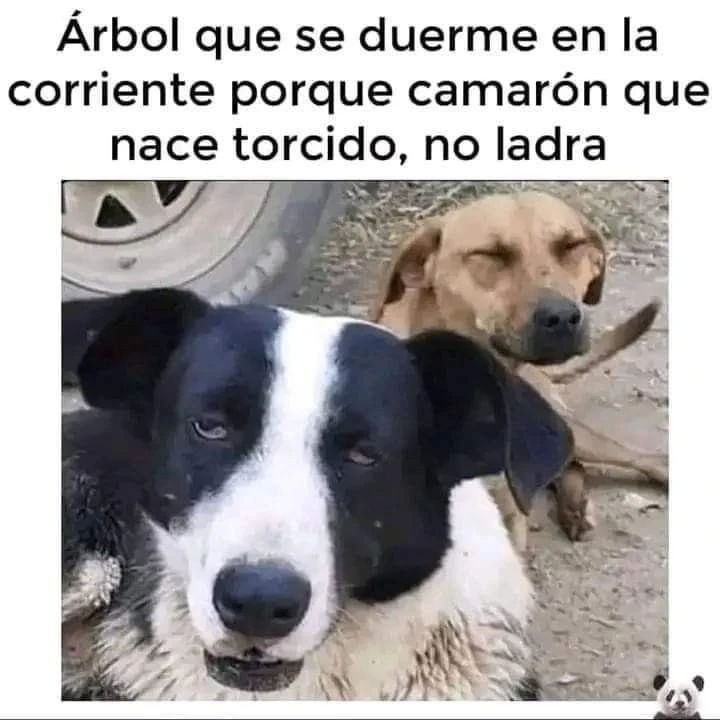 CHISME ALERT ⚠️ | HoYoLAB