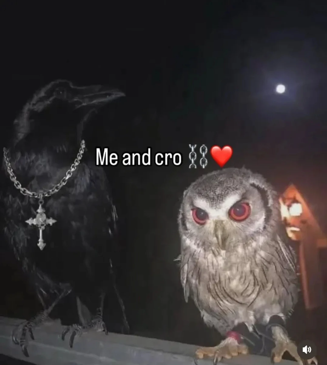 me and cro Zenless Zone Zero | HoYoLAB