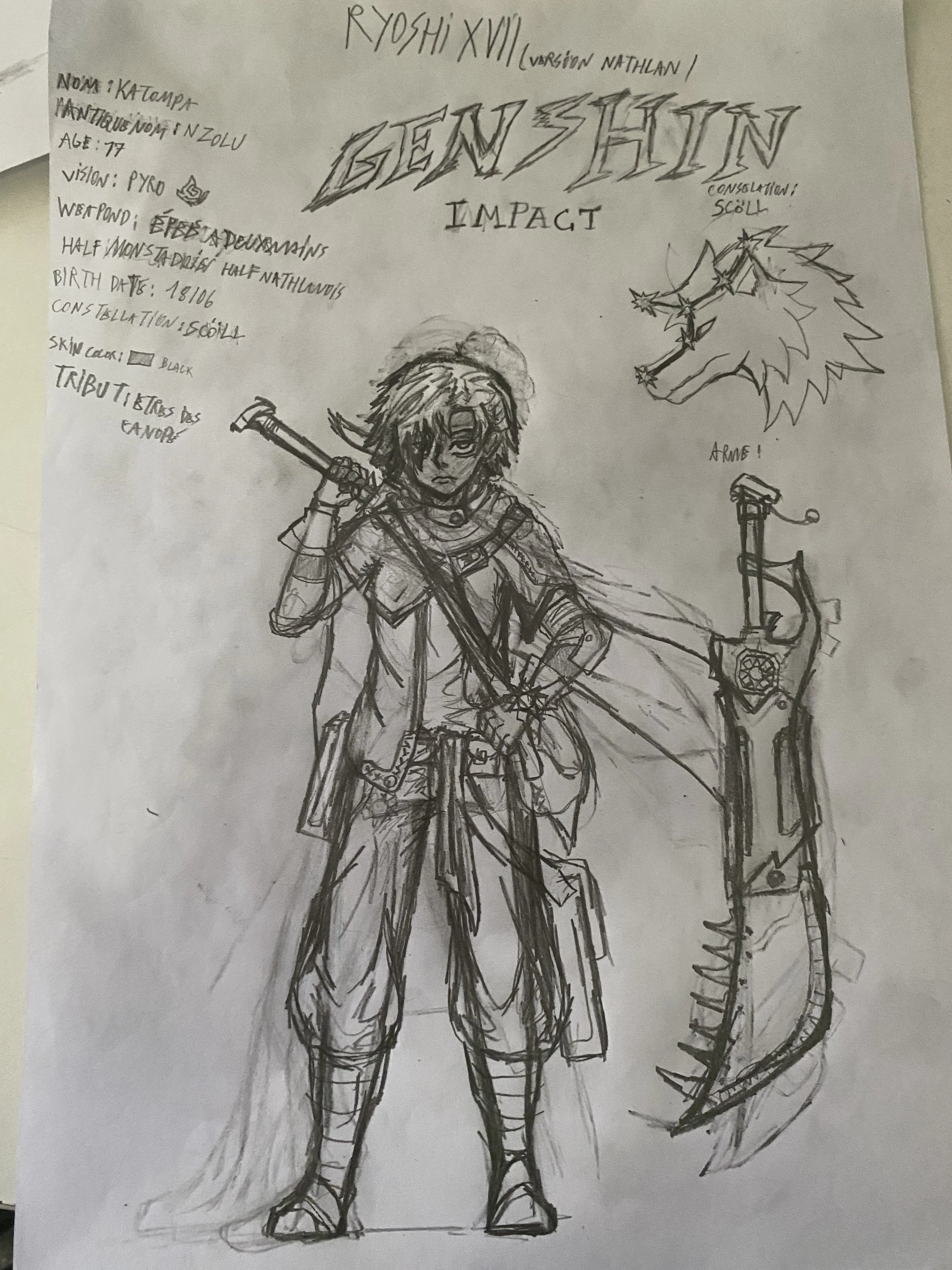 Premier OC qui peut m’aider à le faire sur paint car je n’ai pas de ...