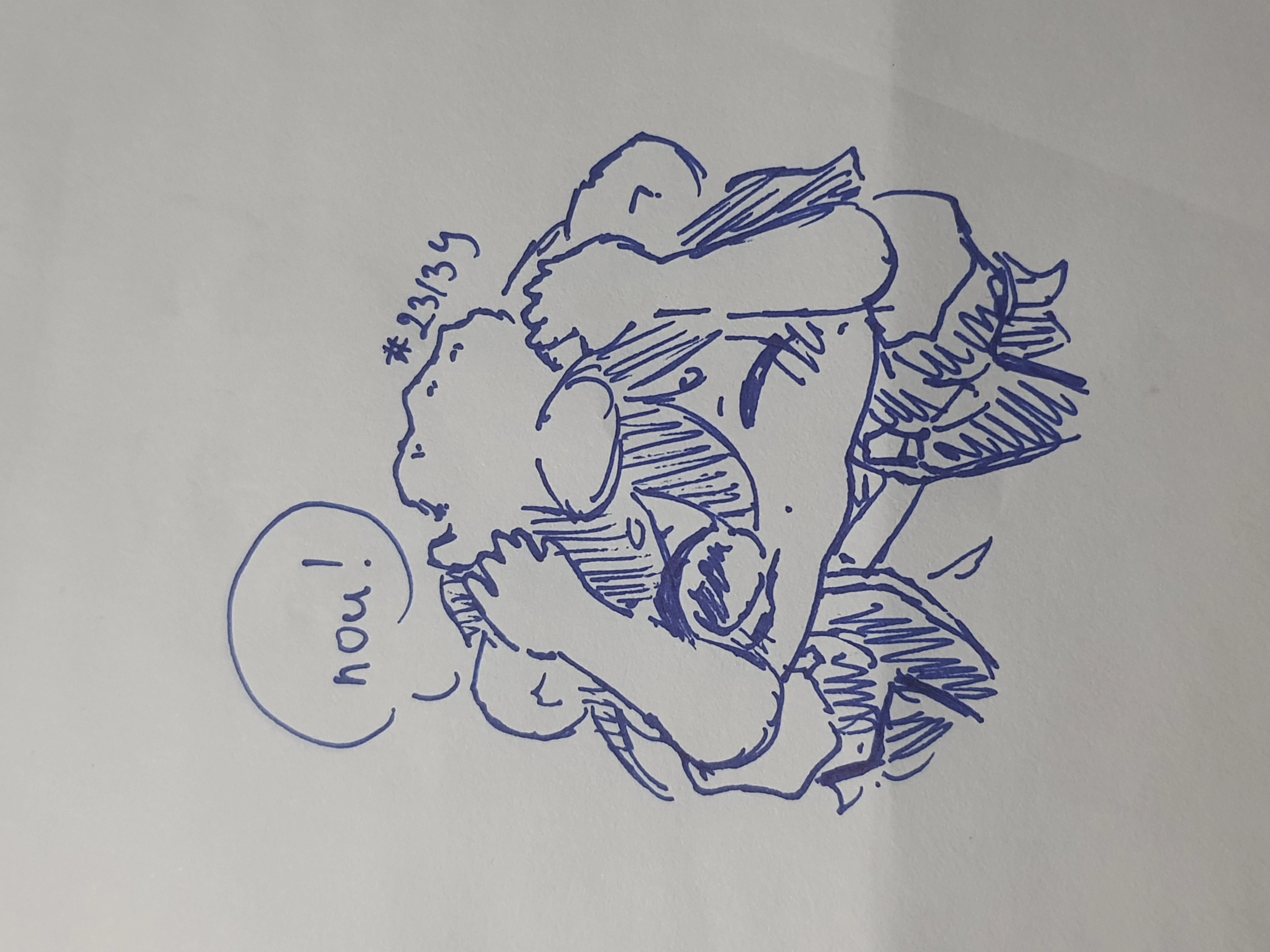 Stelle is racoon...? Honkai: Star Rail | HoYoLAB