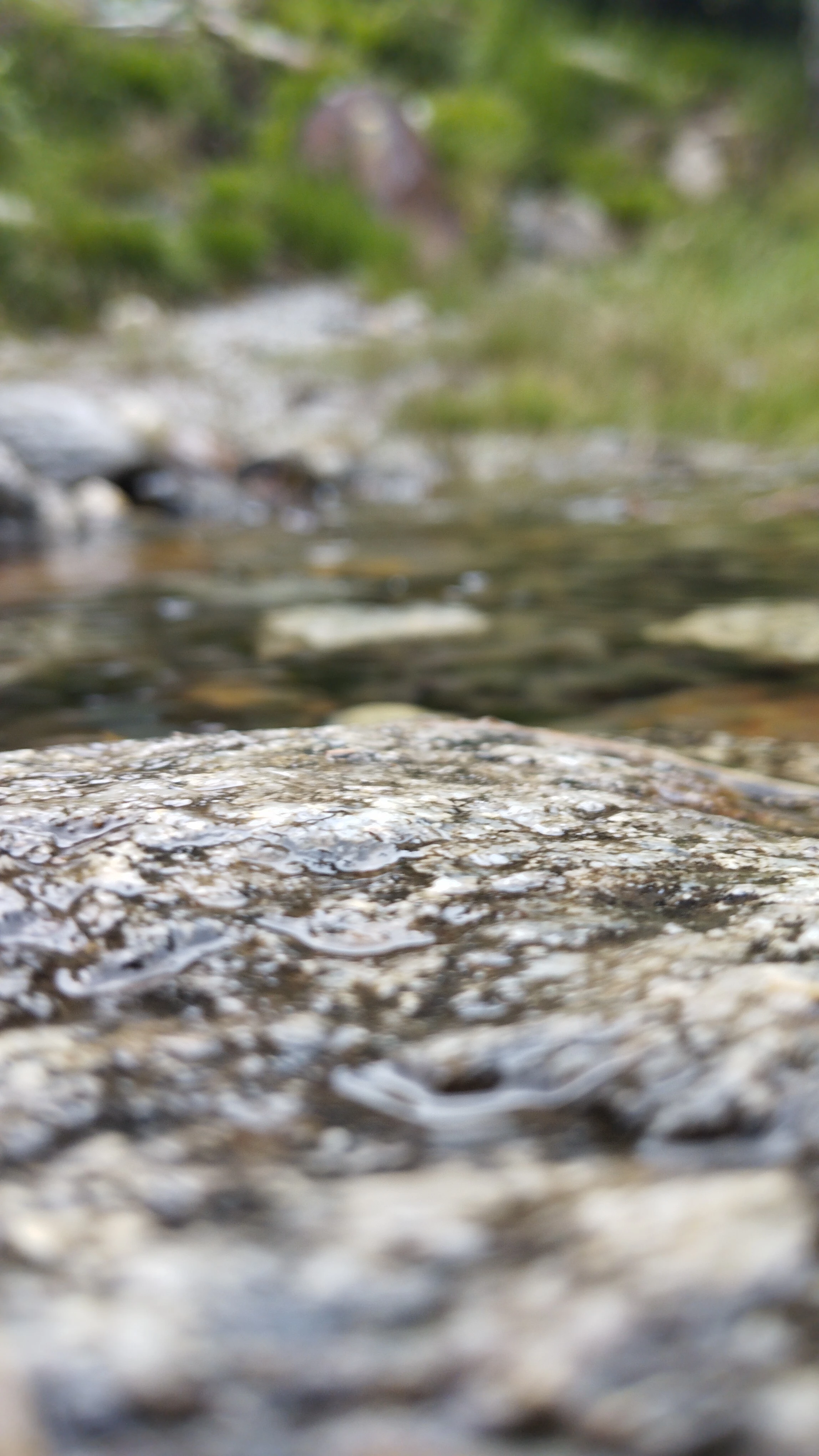 que recuerdos!!!!! | HoYoLAB