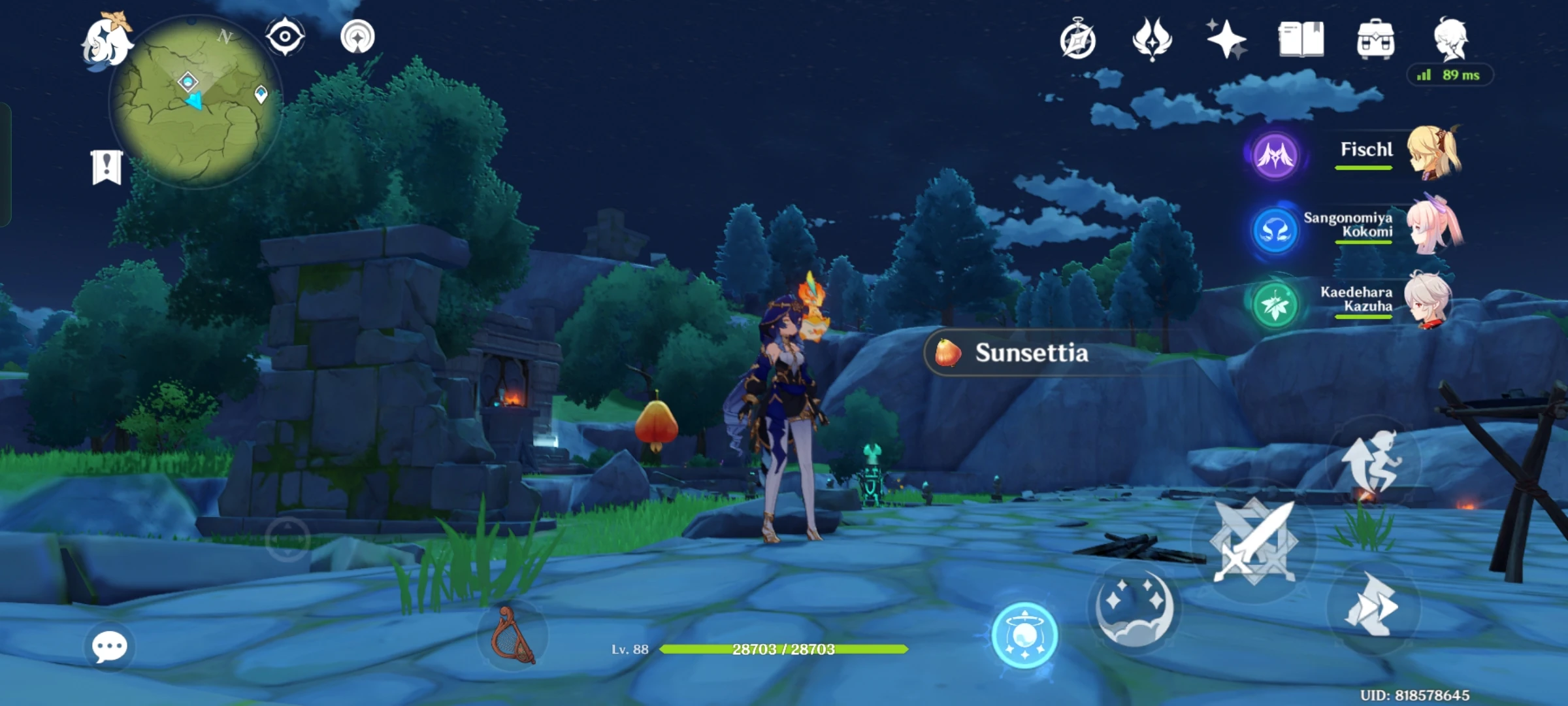 Floating Sunsettia Genshin Impact | HoYoLAB