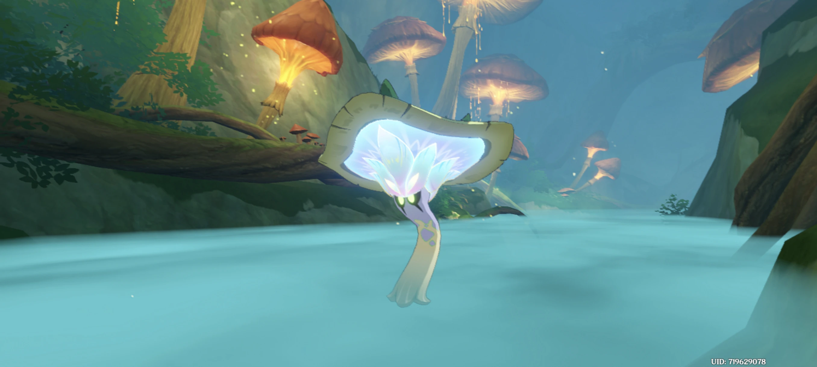 А мне понравилось новое ЗЛ и Genshin Impact | HoYoLAB