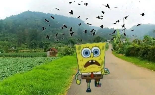 difference of Spongebob and Patrick when see crow | HoYoLAB