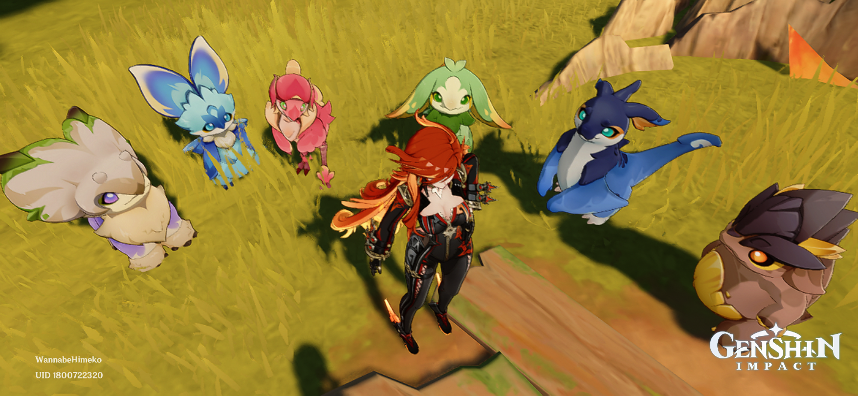 Some genshin brainrot Genshin Impact | HoYoLAB