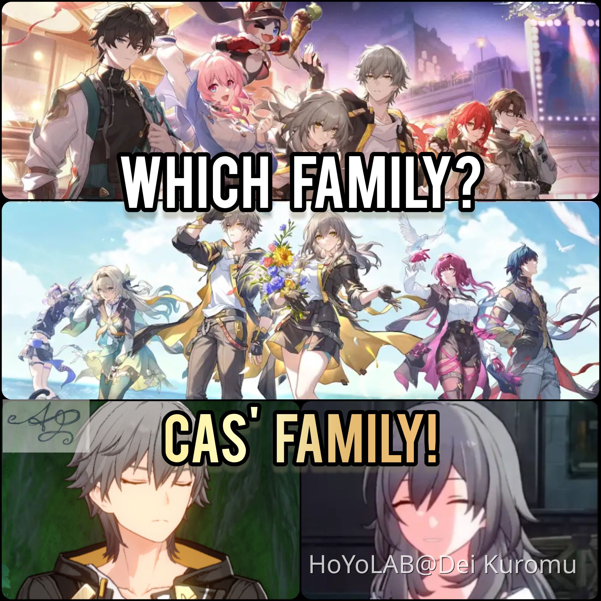 Astral Express? Stellaron Hunters? Flamechasers? With which family do ...