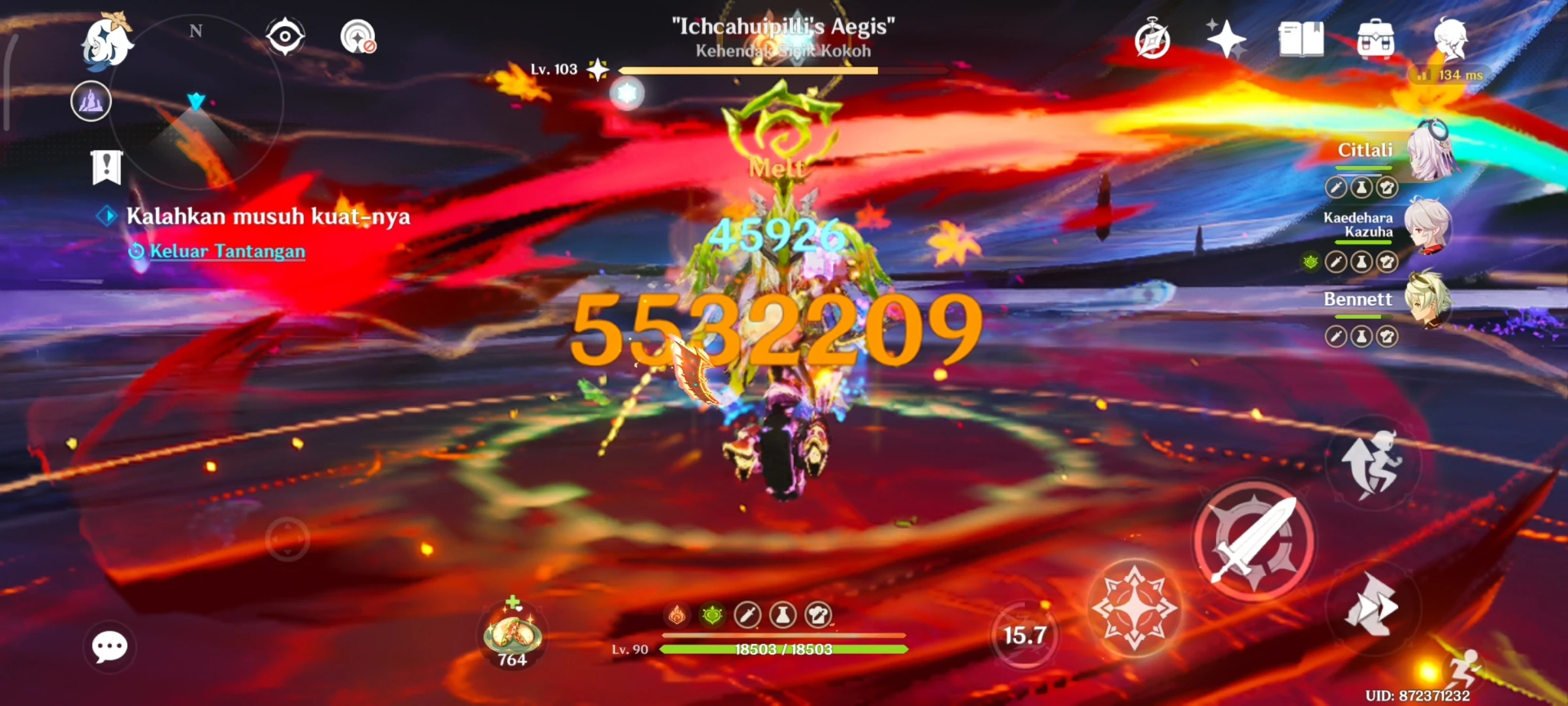 Yippe 5,5M damage Mapika Genshin Impact | HoYoLAB