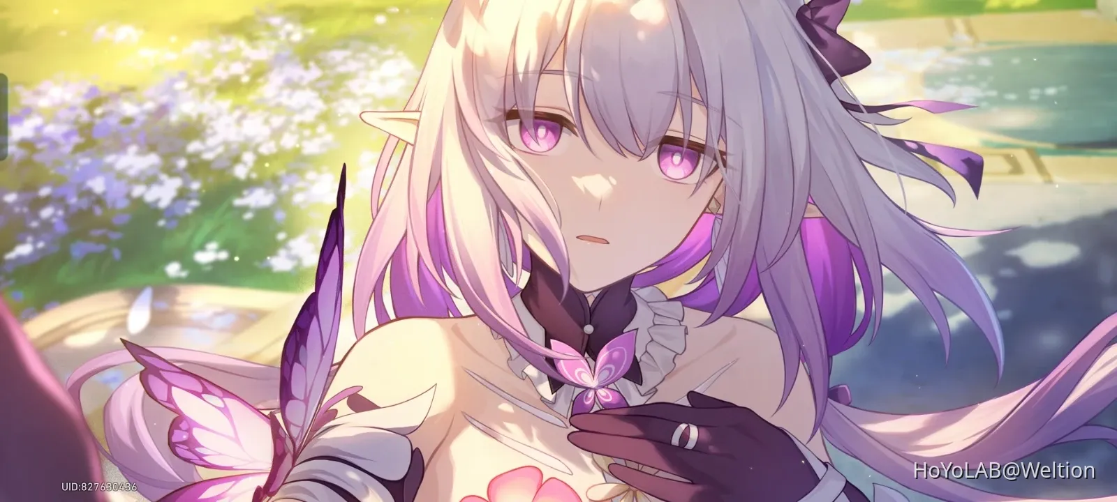 I LOST MY 50/50 TO YANQING T-T Honkai: Star Rail | HoYoLAB