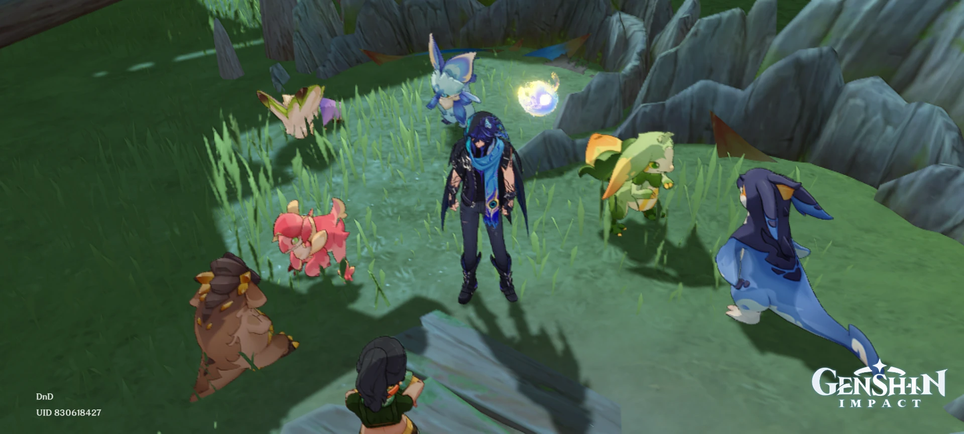 Where is anemo saurian?? Genshin Impact | HoYoLAB