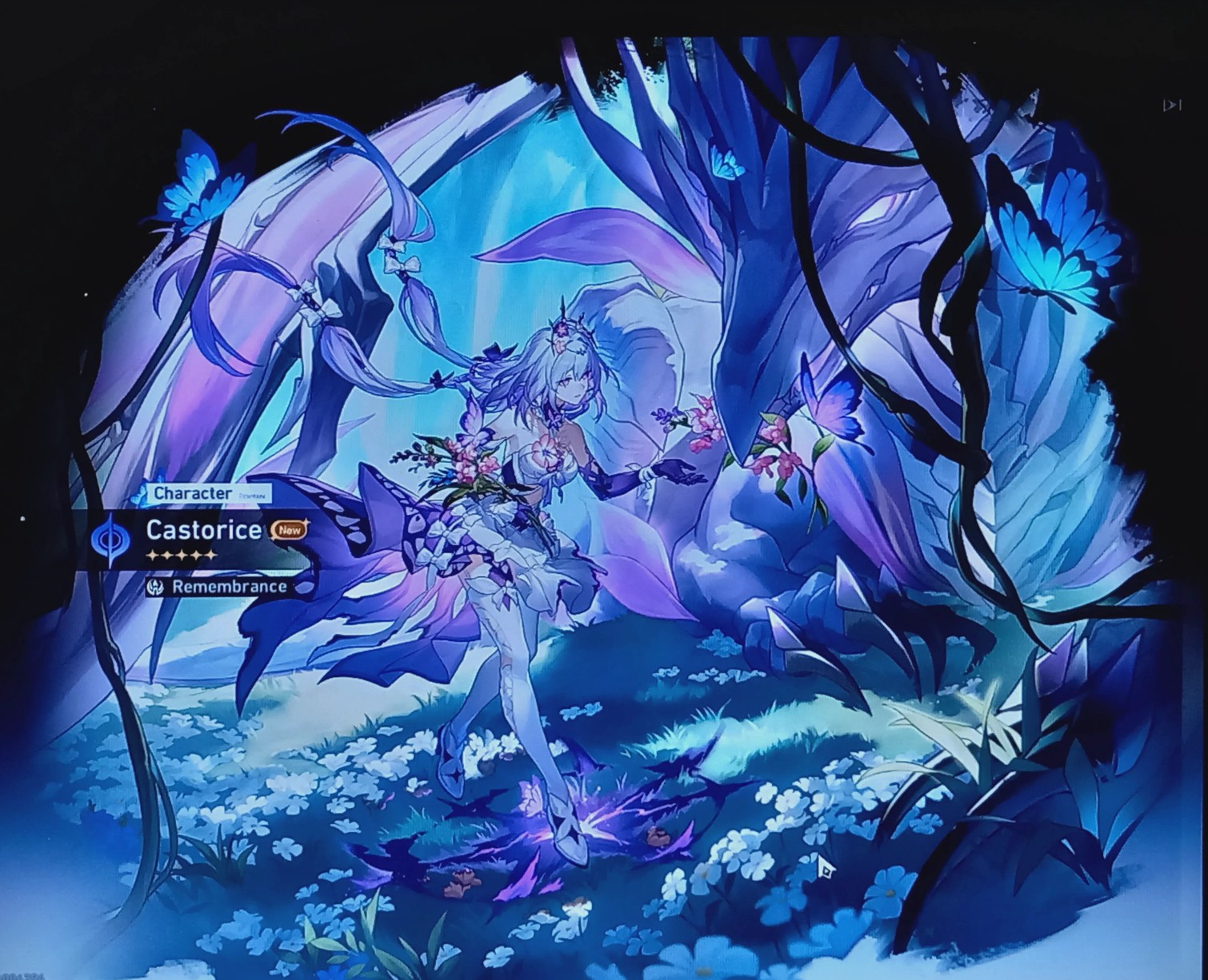 🦋CASTORICE PULLS🦋 Honkai: Star Rail | HoYoLAB