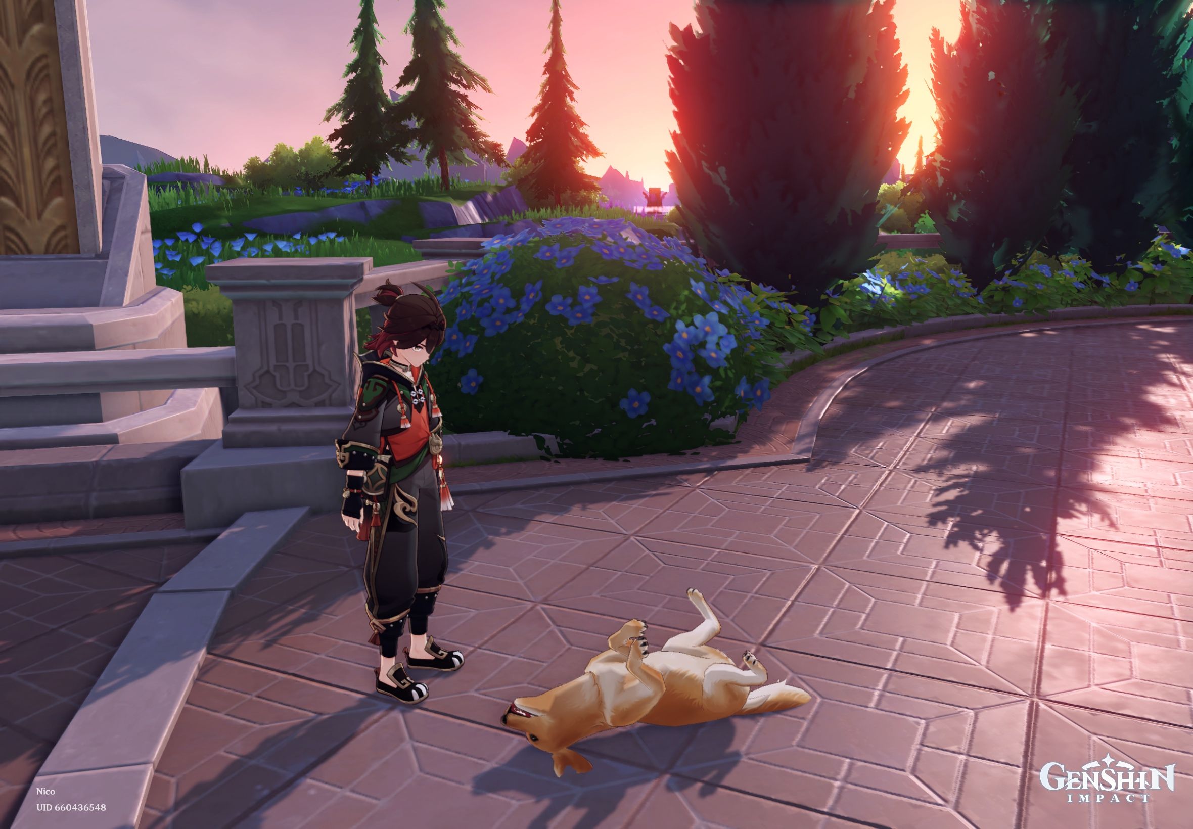 I’ve been trying to meet every dog in Genshin Genshin Impact | HoYoLAB