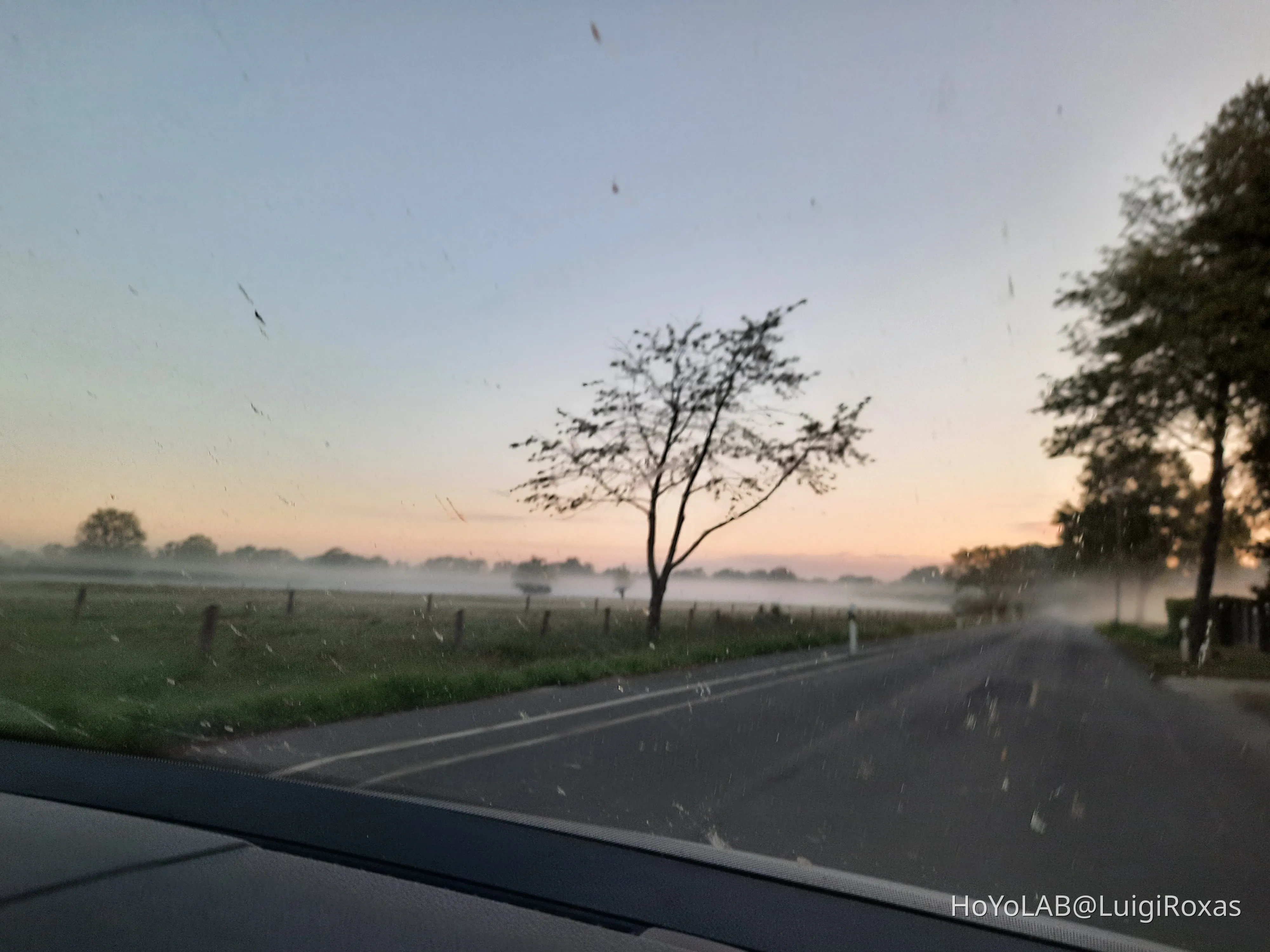 Tja, ich arbeite... (zu viel/wenig) | HoYoLAB