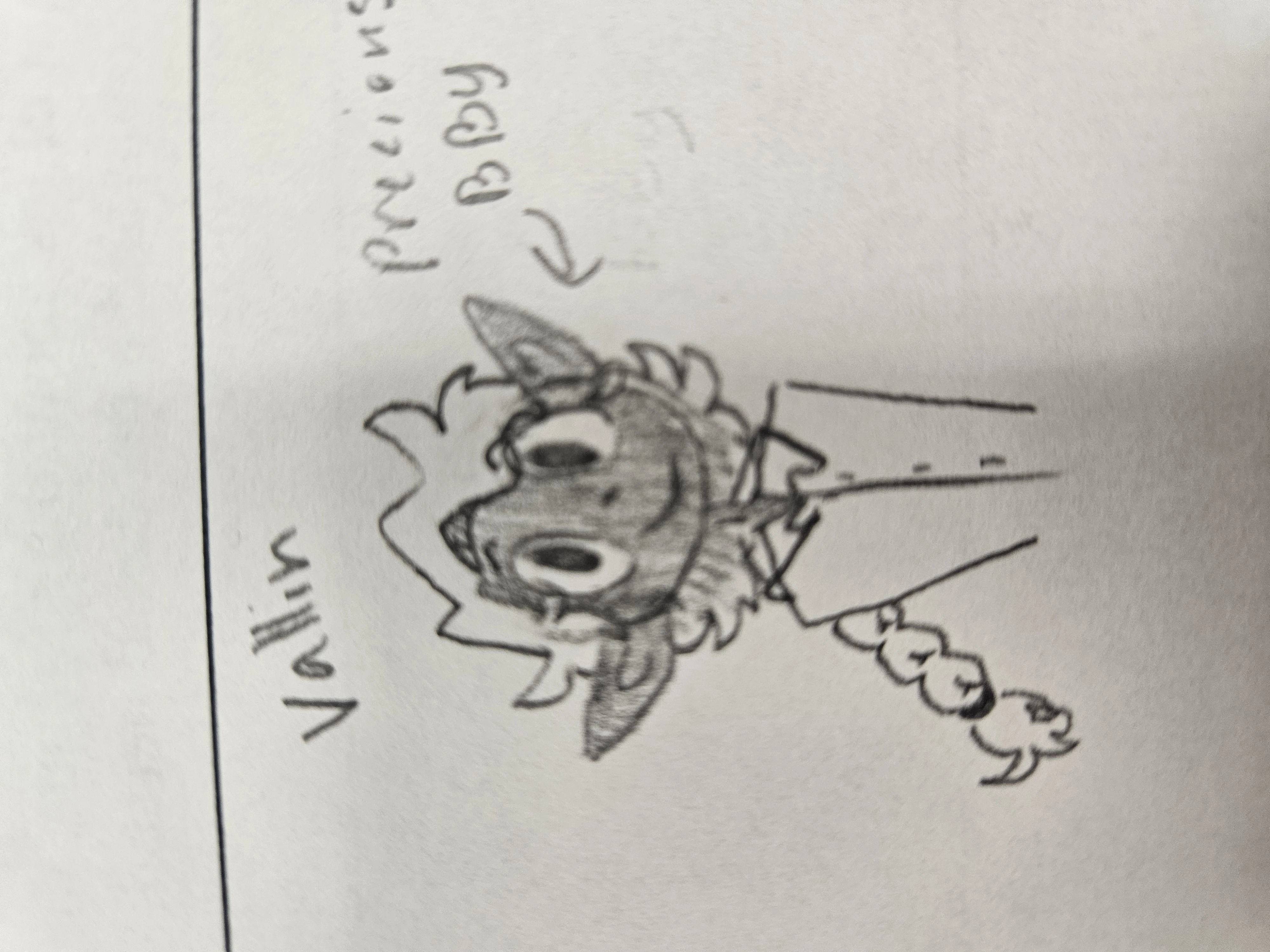 This is my new baby, his name is Vallin and you should not pet him, he will bite. | HoYoLAB