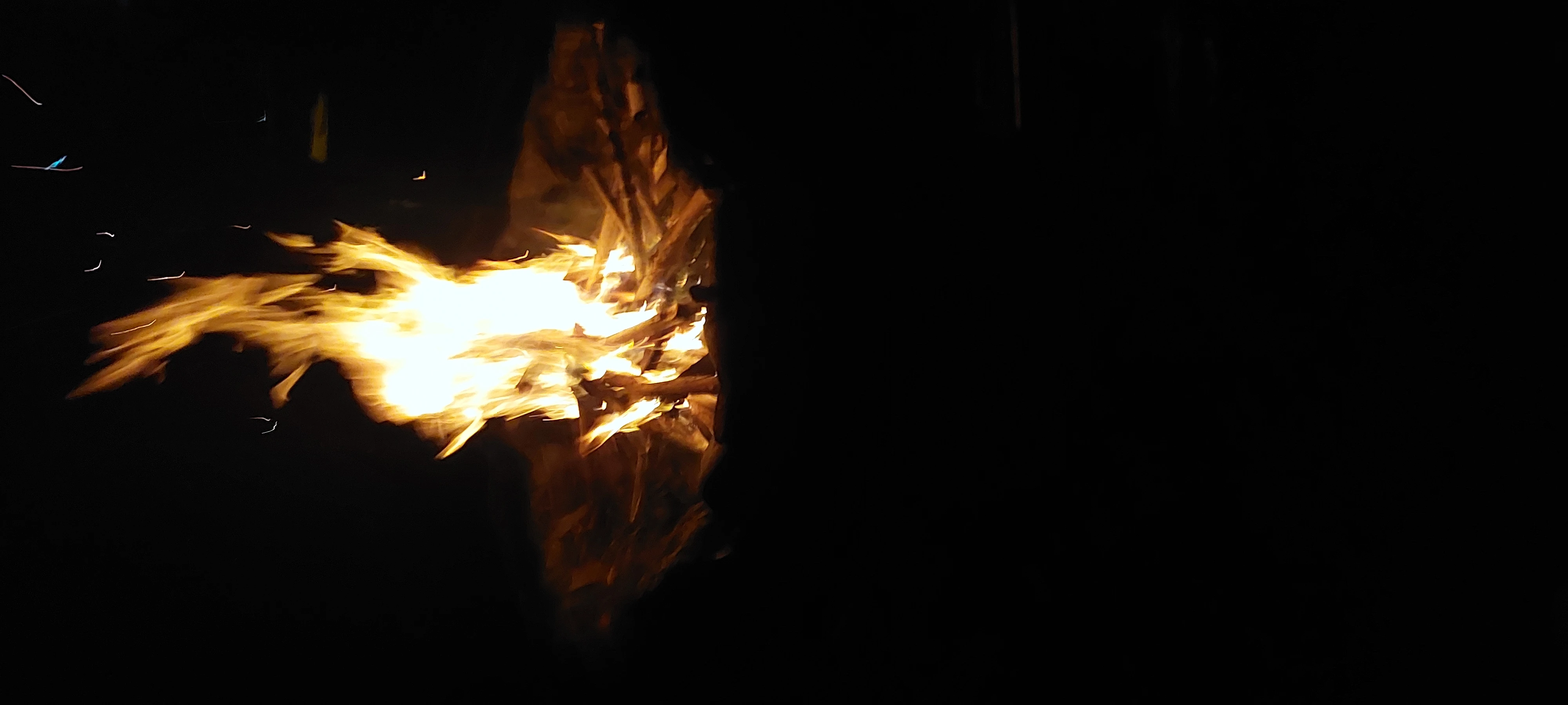 Burnice Reference | HoYoLAB