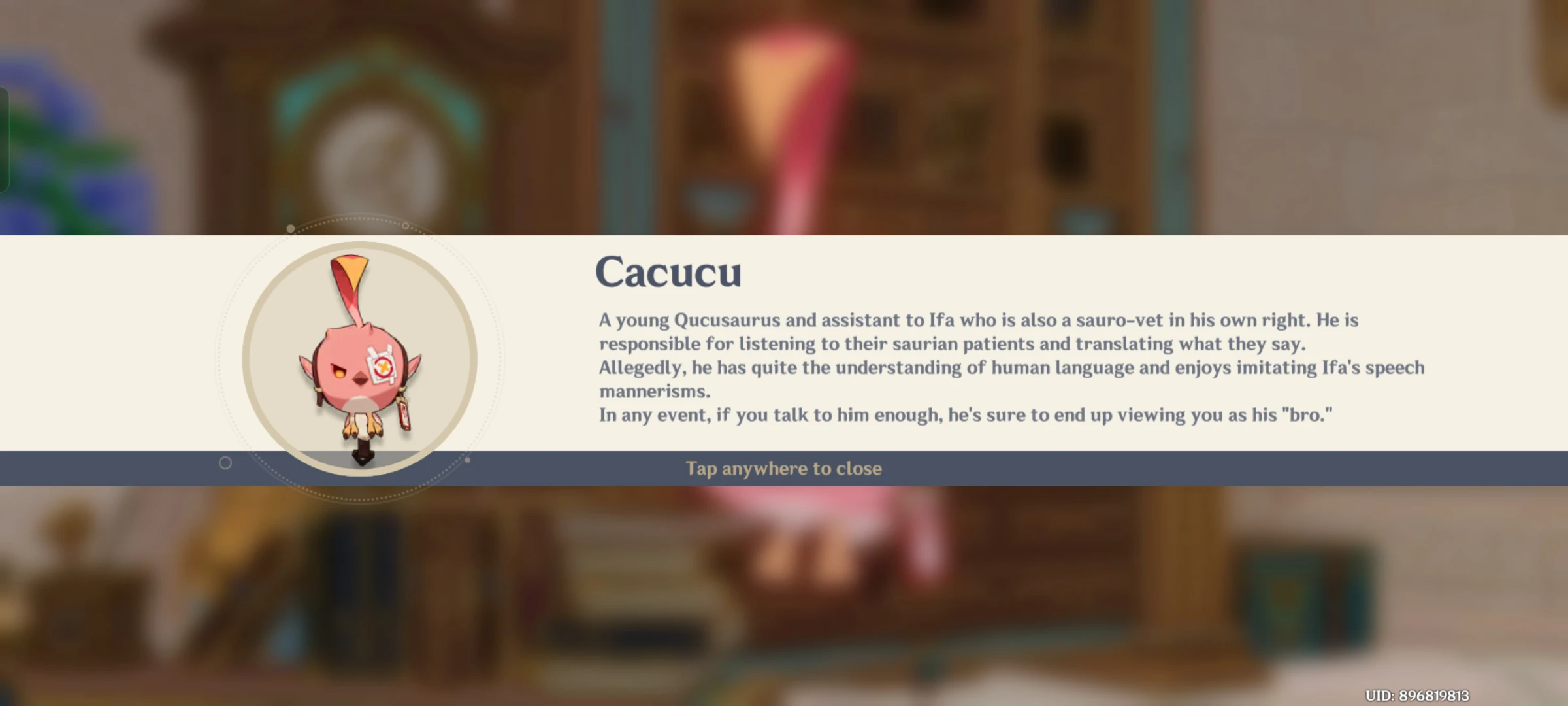 CACUCU Genshin Impact | HoYoLAB