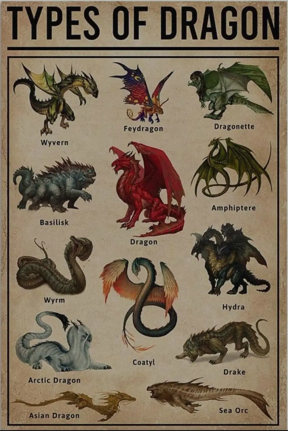 european dragons and asian dragons