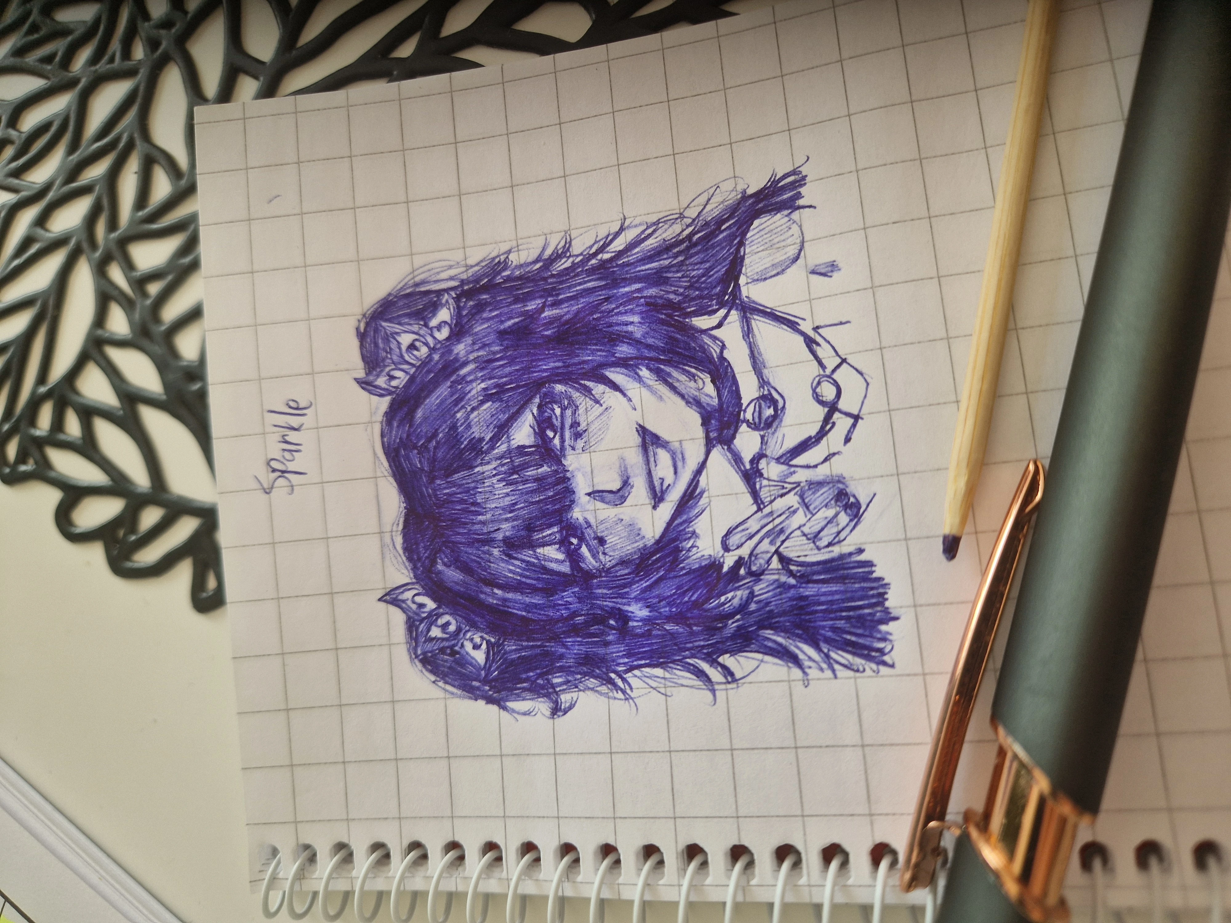 I drew Sparkle with a ballpoint pen and some toothpick kind of wooden ...