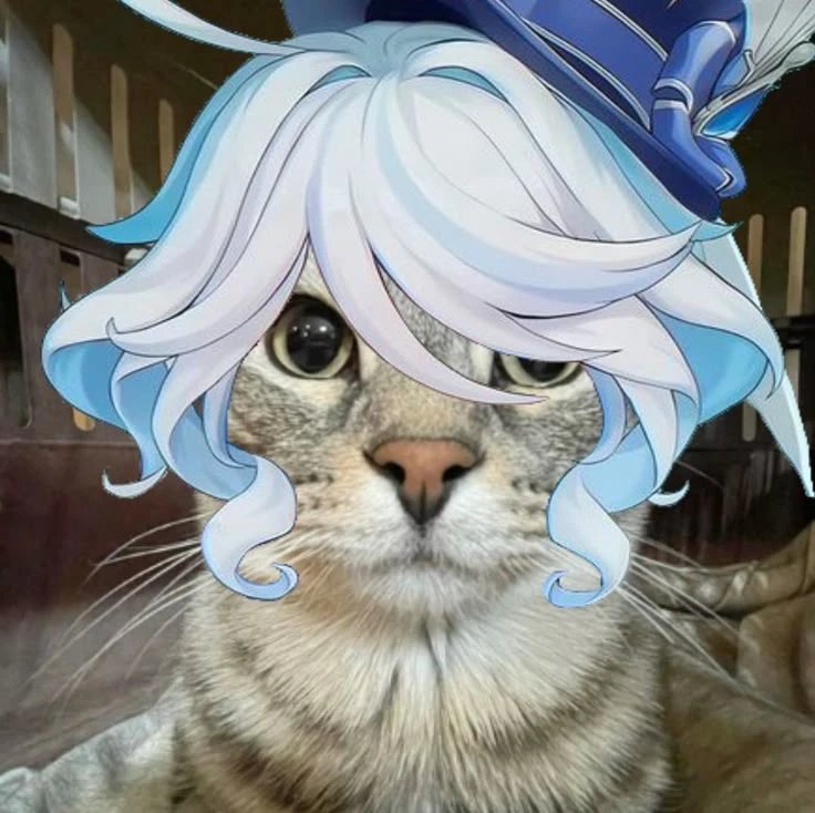 cat furina Genshin Impact | HoYoLAB