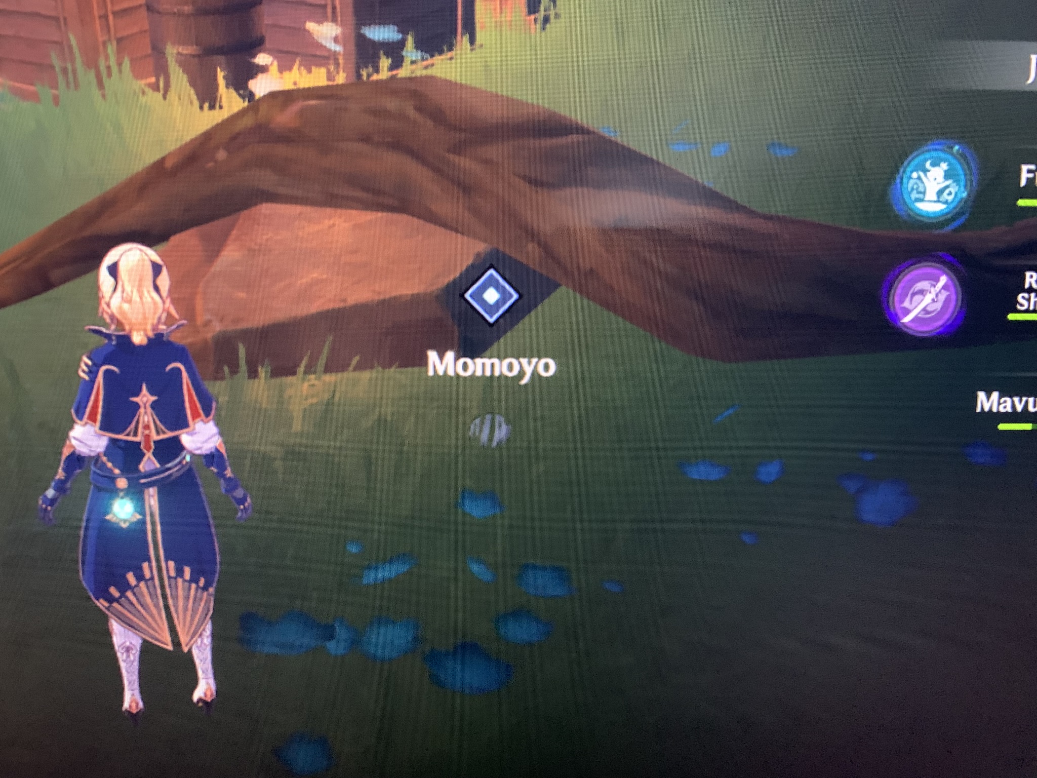 Where's Momoyo? Genshin Impact | HoYoLAB