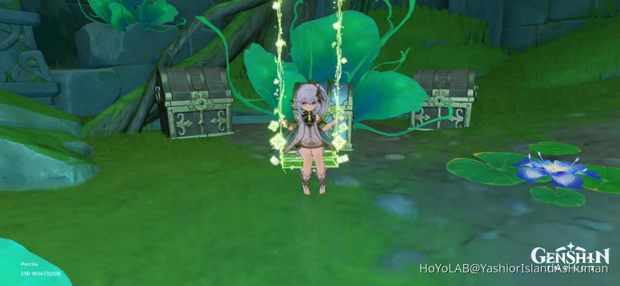 I just unlocked the aranara chest room yesterday Genshin Impact | HoYoLAB