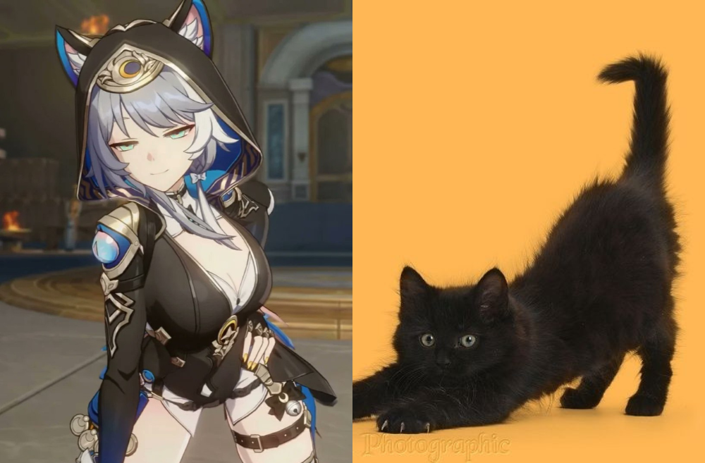 Cipher poses Honkai: Star Rail | HoYoLAB