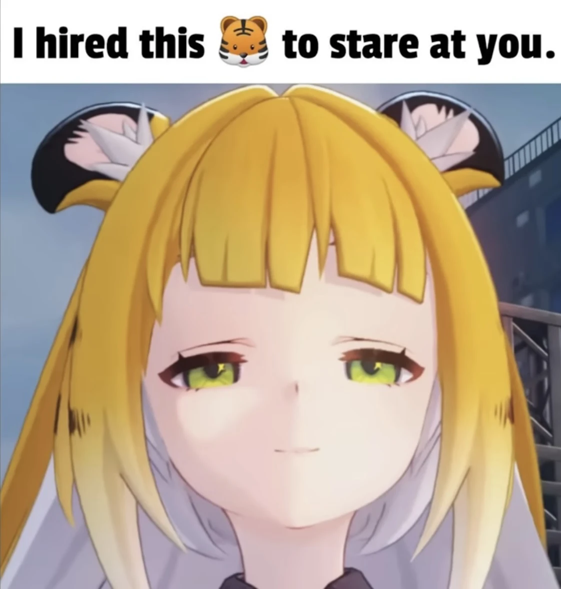 Memes I stole Zenless Zone Zero | HoYoLAB