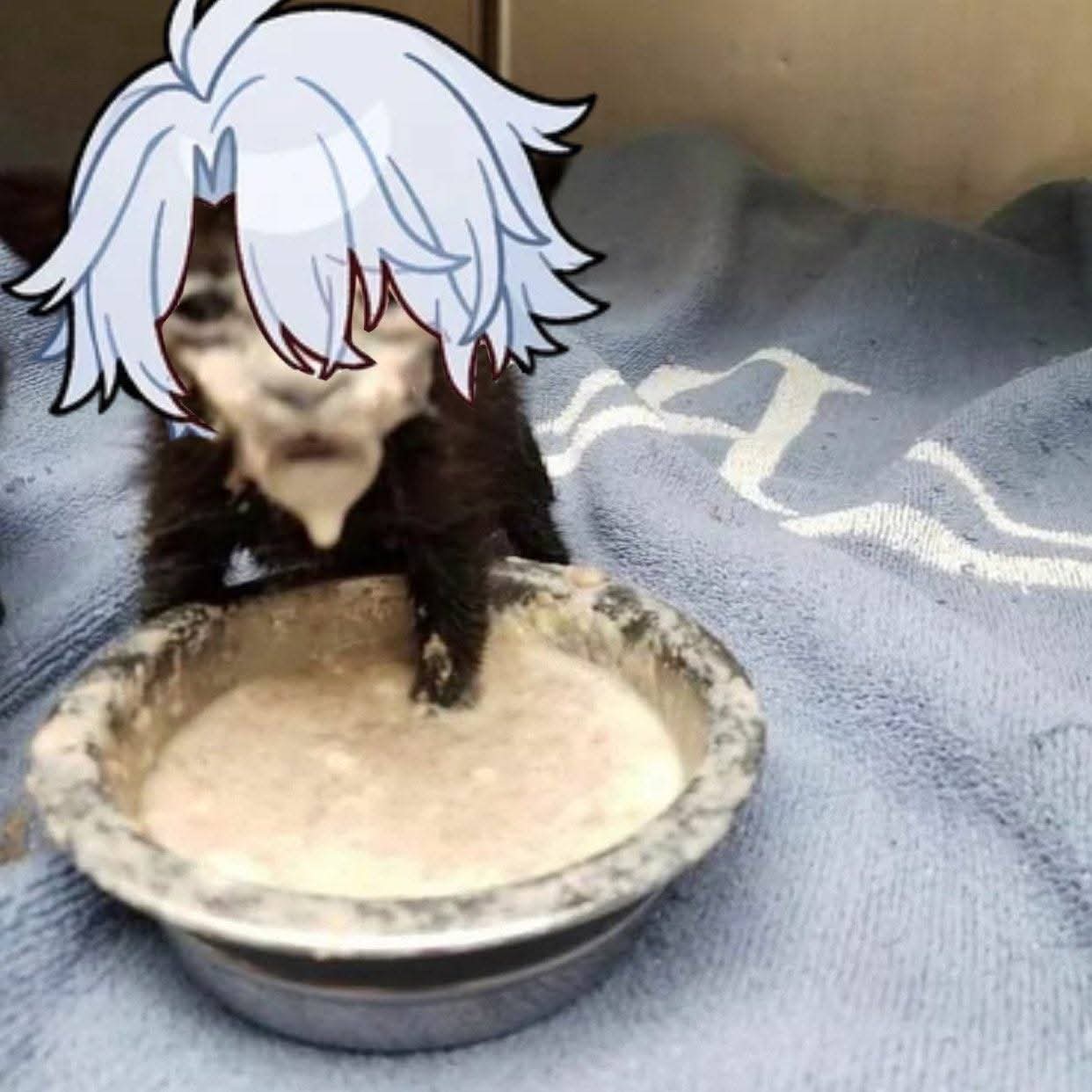 I can't wait to get Phainon Home Honkai: Star Rail | HoYoLAB