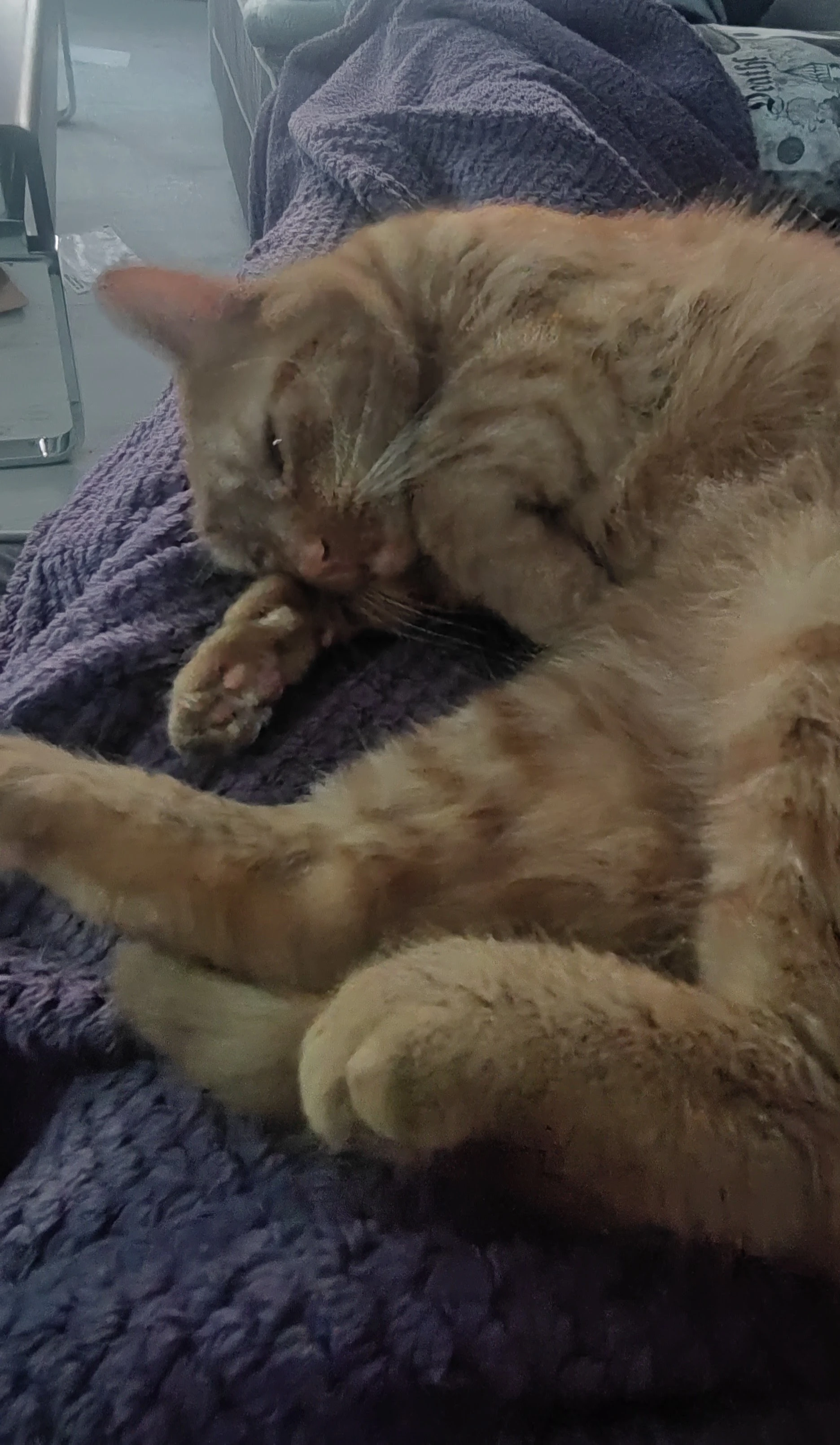 I haven't posted for a while and I have nothing to post so here's my ...