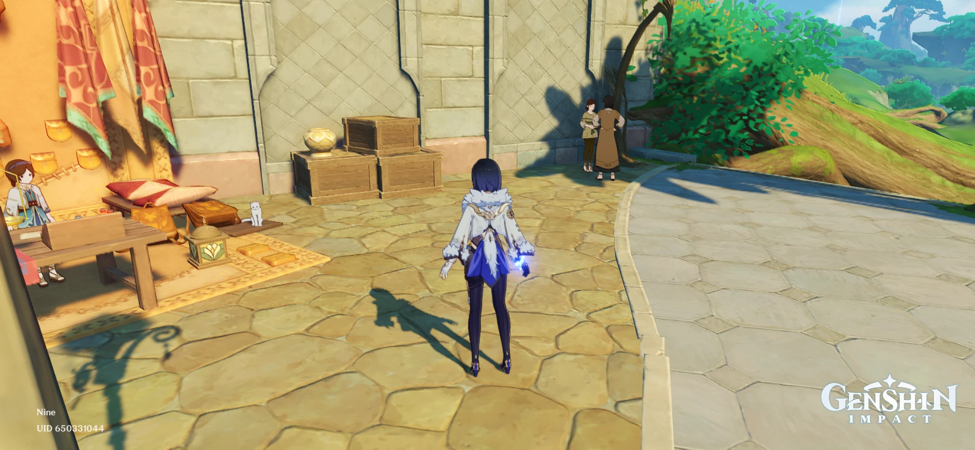 What is up with these NPCs/ghosts? Genshin Impact | HoYoLAB