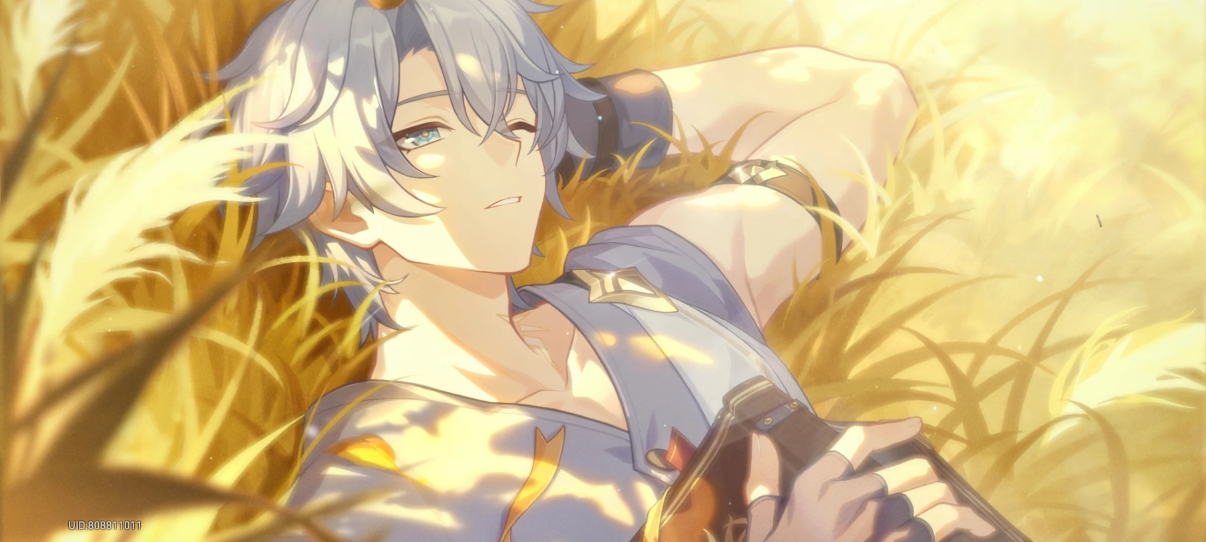 Please help me understand 3.4 in Razor language Honkai: Star Rail | HoYoLAB