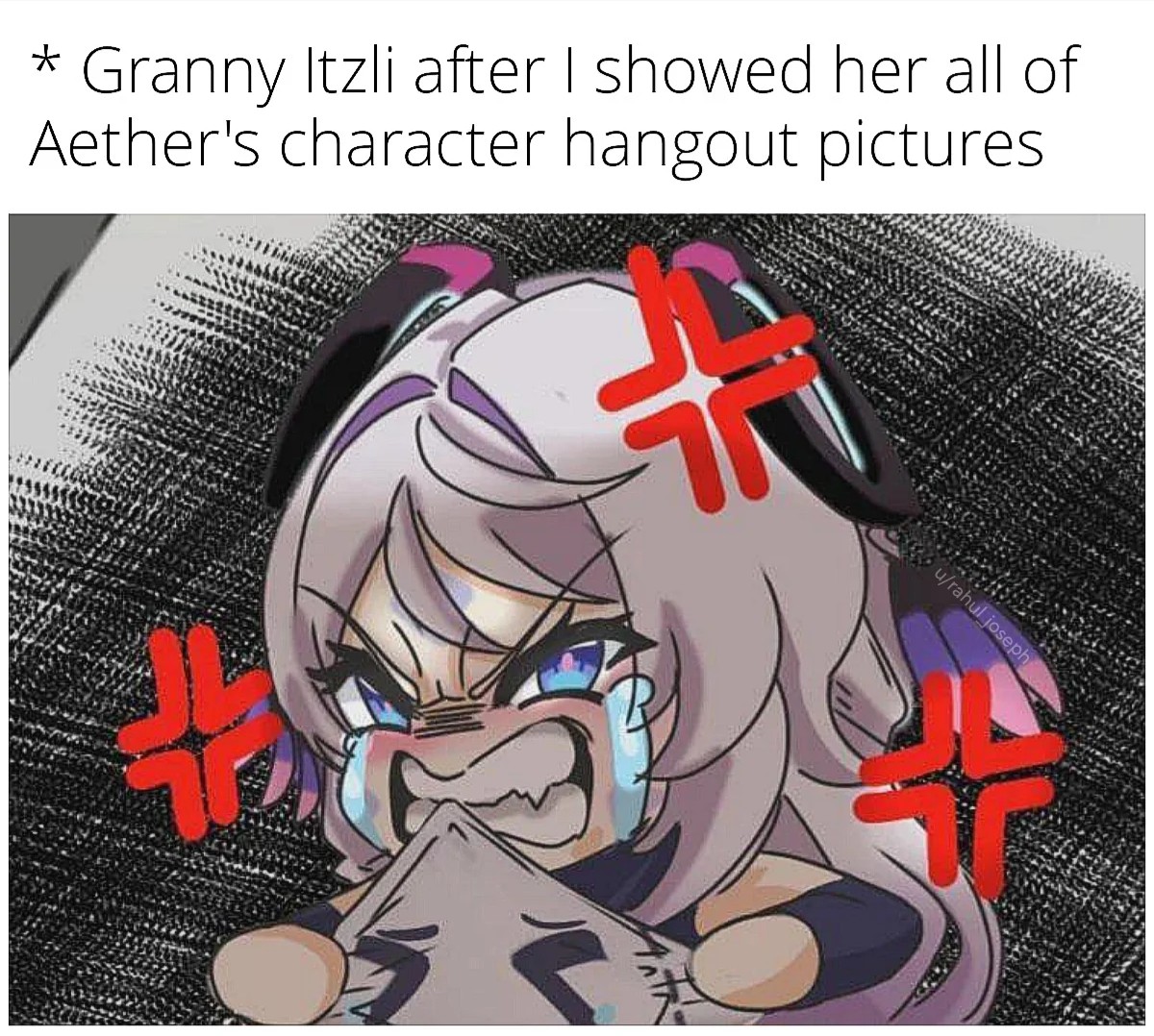 Poor Granny Genshin Impact | HoYoLAB