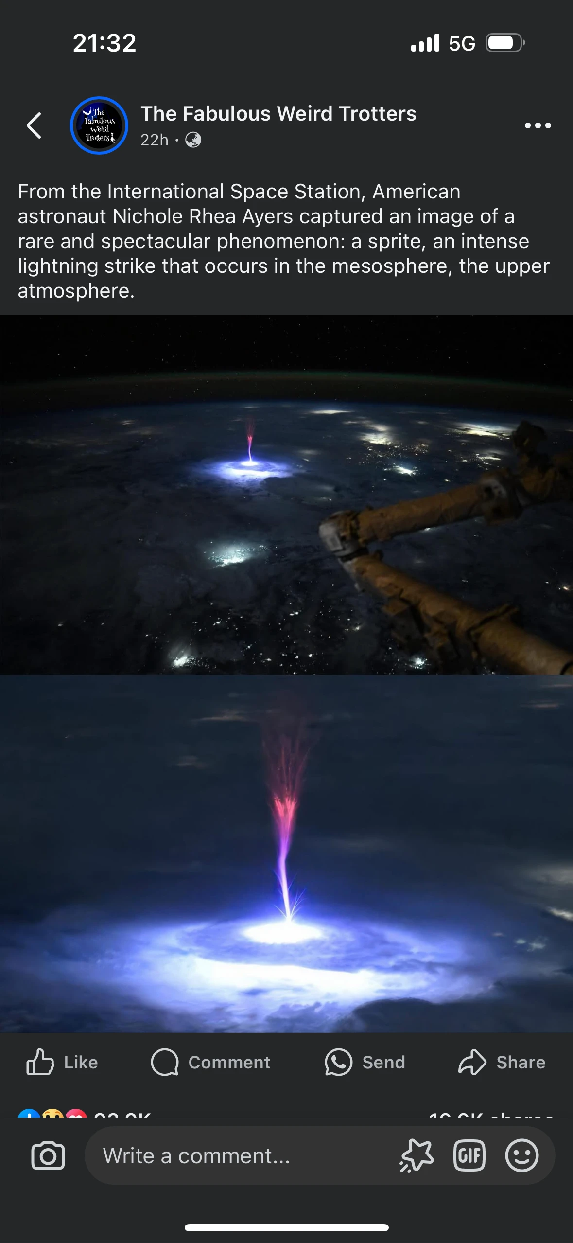 Skirik COME HOME Genshin Impact | HoYoLAB