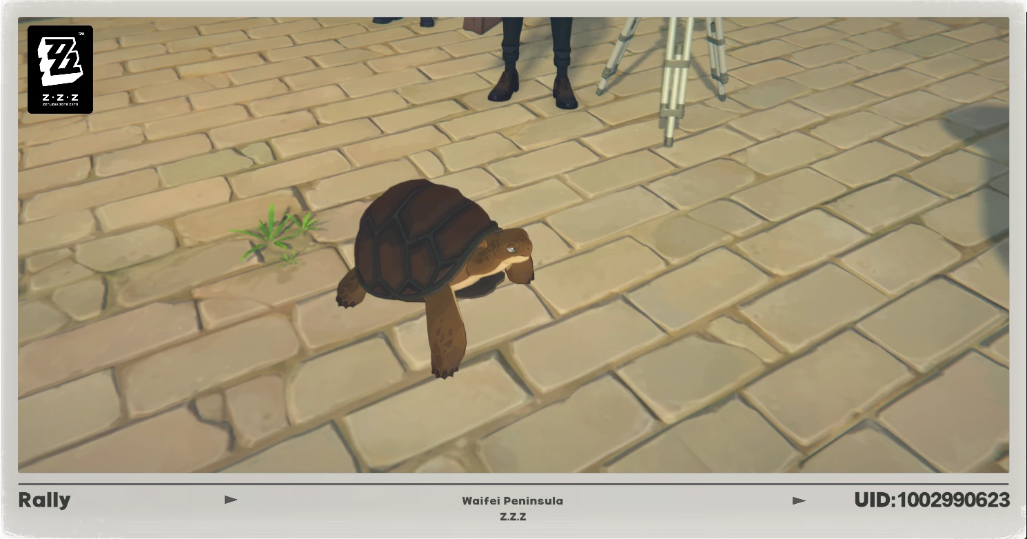 ZZZ animals be great!!! Zenless Zone Zero | HoYoLAB