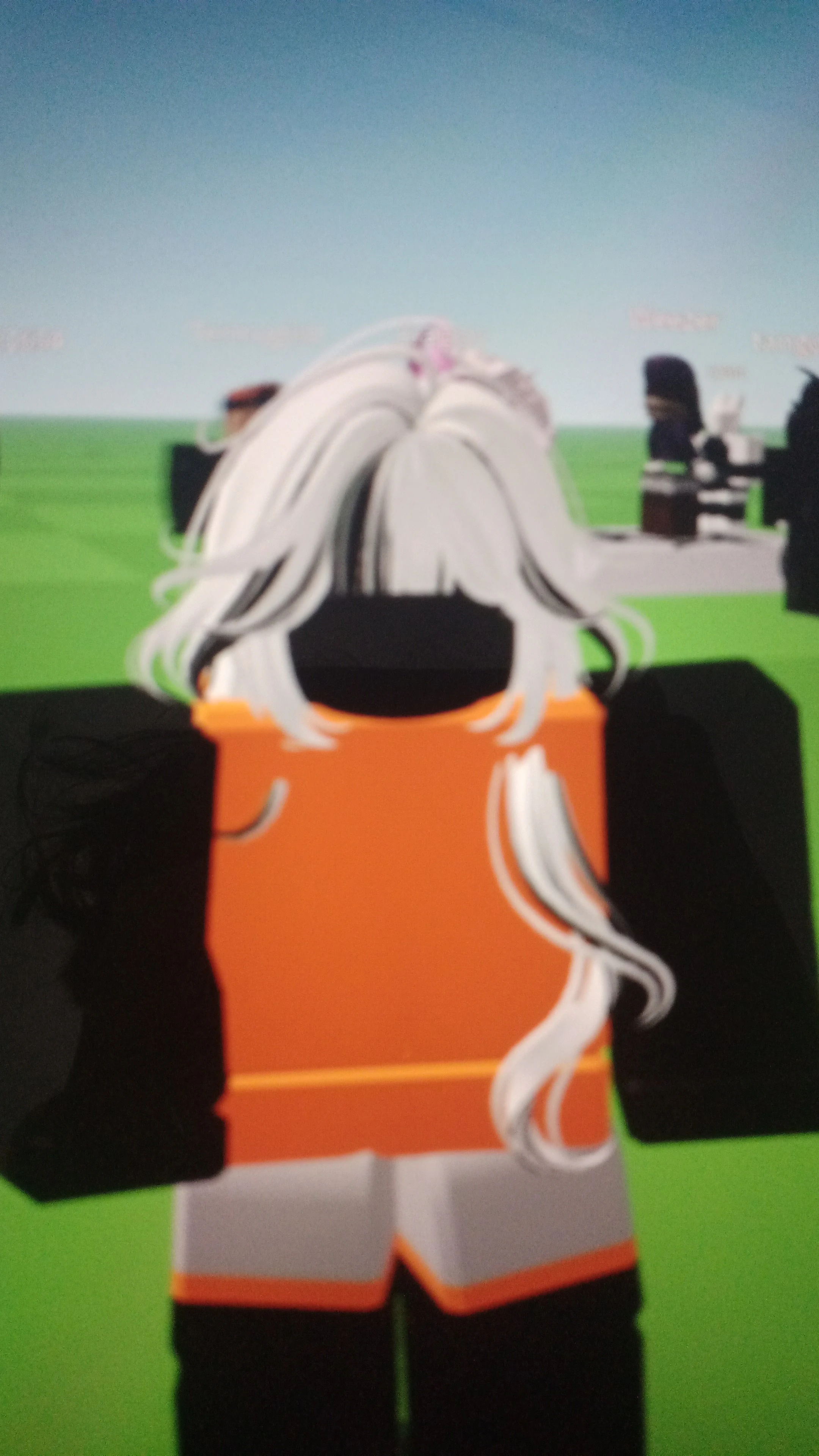 I have 71 robux rn for one hairstyle. yet I don't know which one will ...