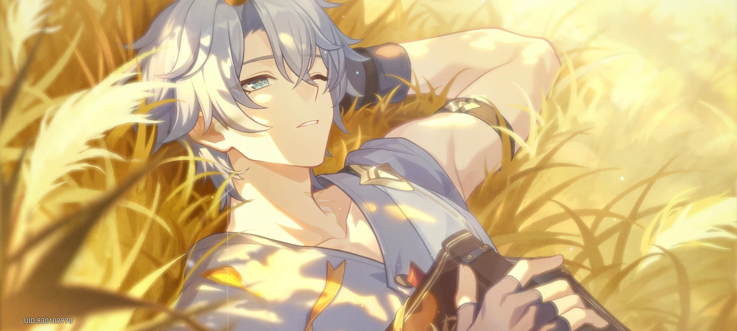 Finished the recent HSR quest! (featuring all my little PhaiStelle ...