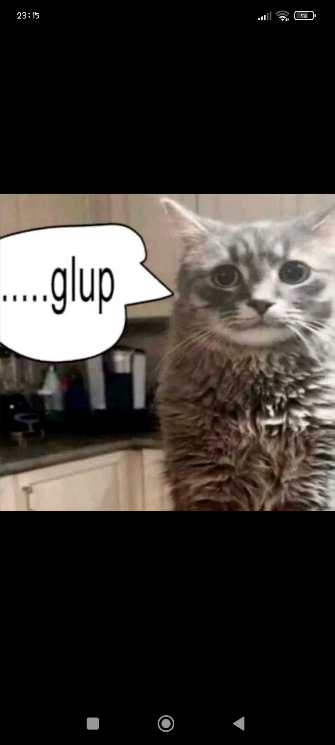 EVERY single meme I once stole pt2 Genshin Impact | HoYoLAB