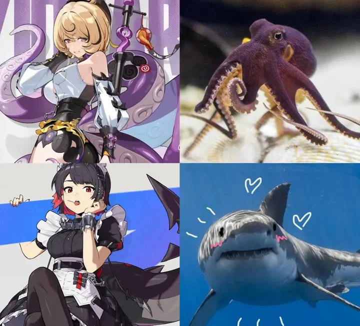 Which one better 😏 Sharks 🦈? or Octopus 🐙? Zenless Zone Zero | HoYoLAB