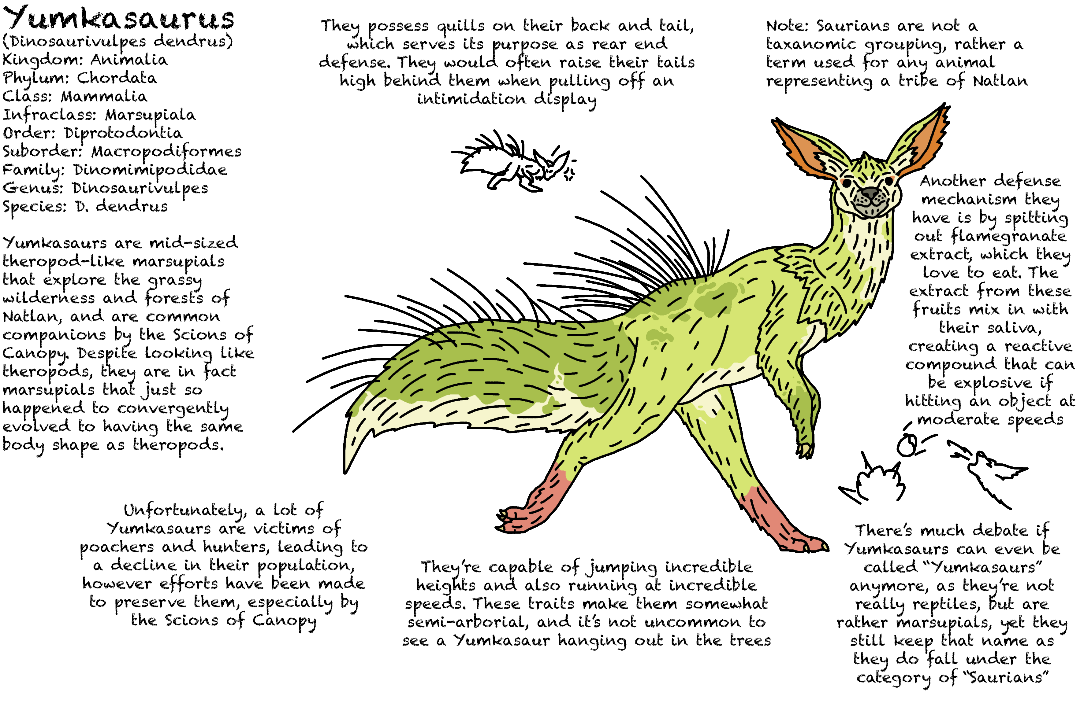 Yumkasaurus (Bio-Genshin) Genshin Impact | HoYoLAB