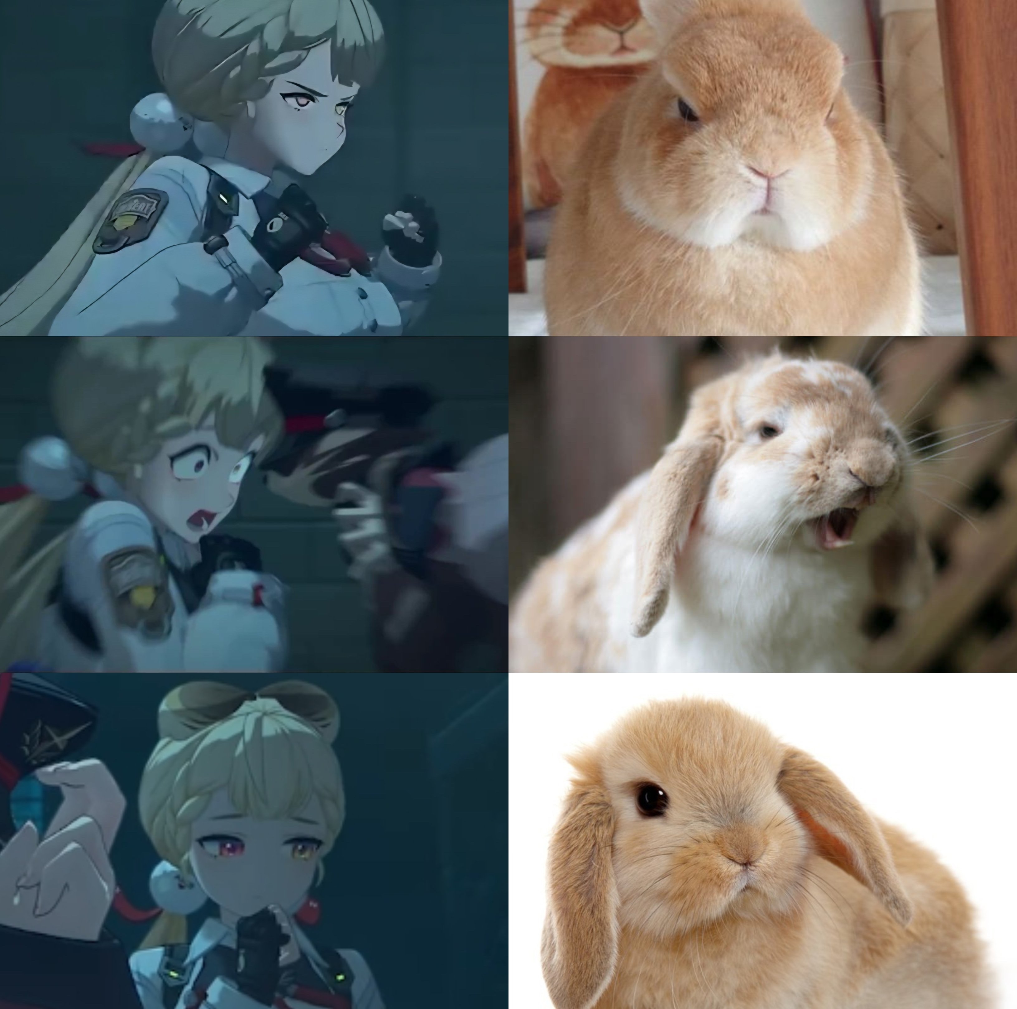 The Many faces of Alice..my precious bunny Zenless Zone Zero | HoYoLAB